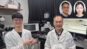 KAIST, 6배 정밀한 3D 뇌 모사 플랫폼 구현 성공